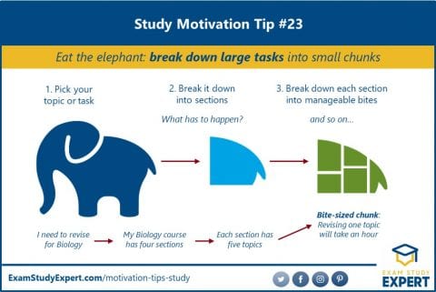 49 Ingenious Study Motivation Tips To Get You MOVING - Exam Study Expert