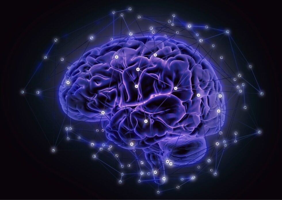 Growth Mindset: Why Everyone Should Develop One - Exam Study Expert