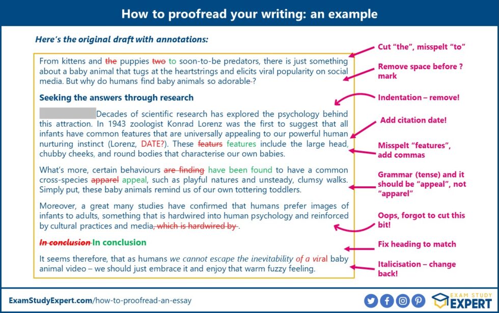 Academic Writing for Essays / Dissertation Archives - Exam Study Expert